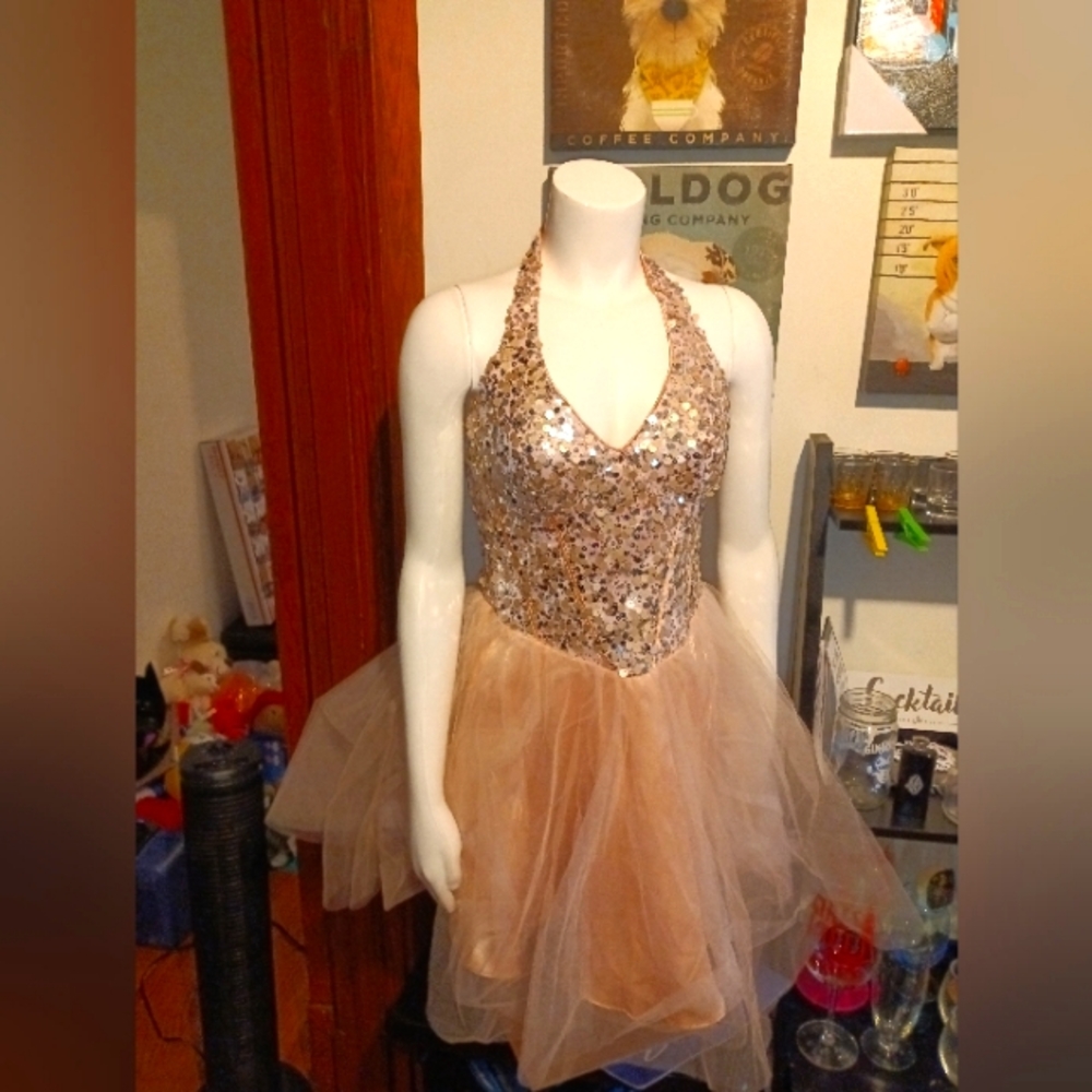 Homecoming Or Ballerina Barbie Costume New - Gem